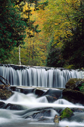 Distant Energy Healing waterfall | Spiritual Counselor & Life-Business ...